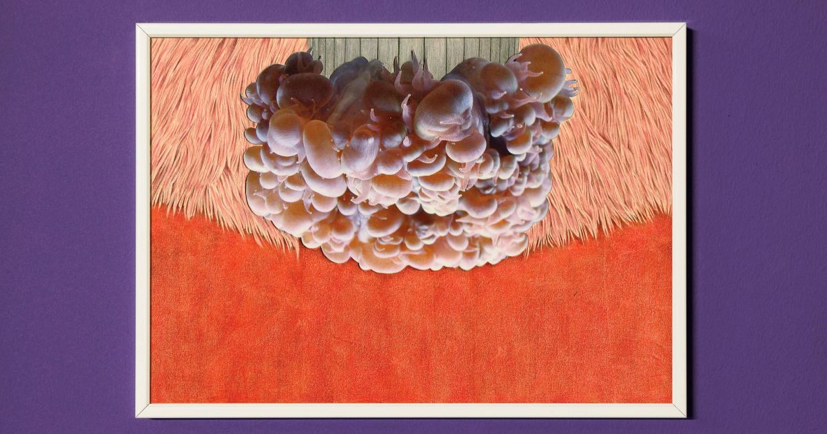 Systems of Belief: Pattern Recognition